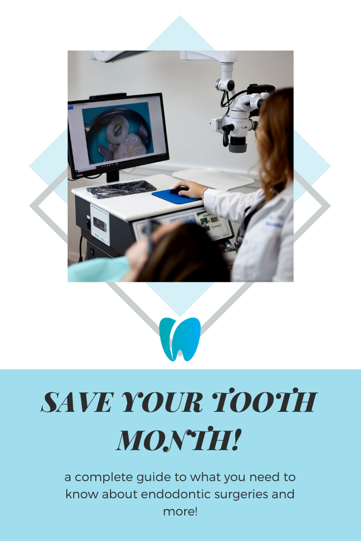 May is Save your tooth month! - River Street Endodontics